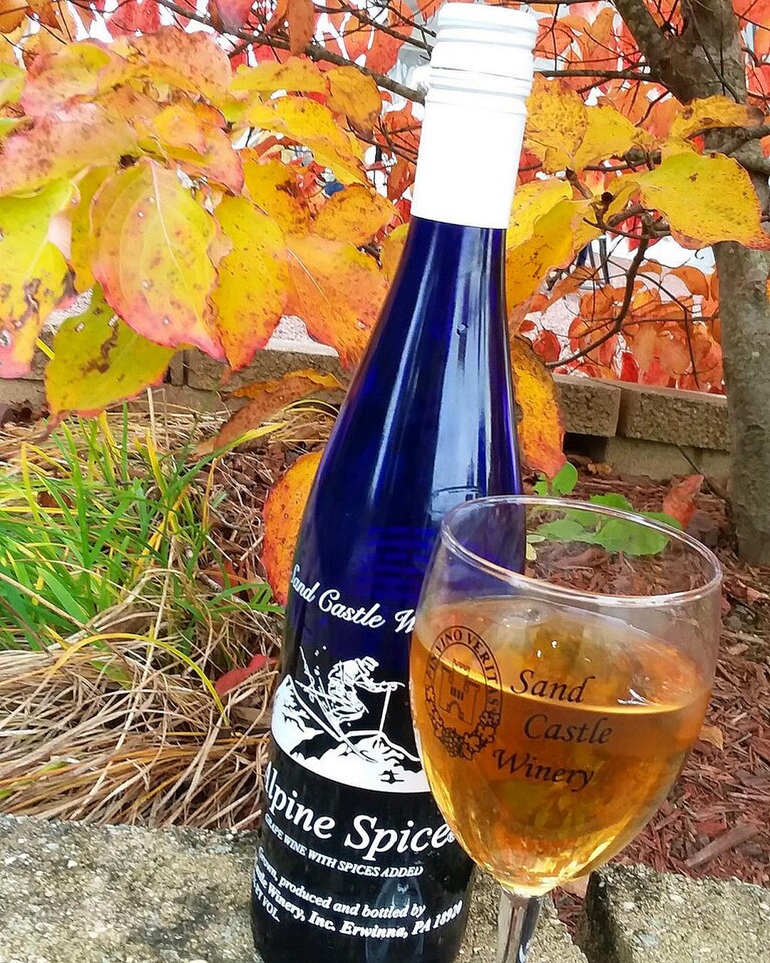 From Mulled to Sangria – Fall Faves for this Wine-Sipping Season ...